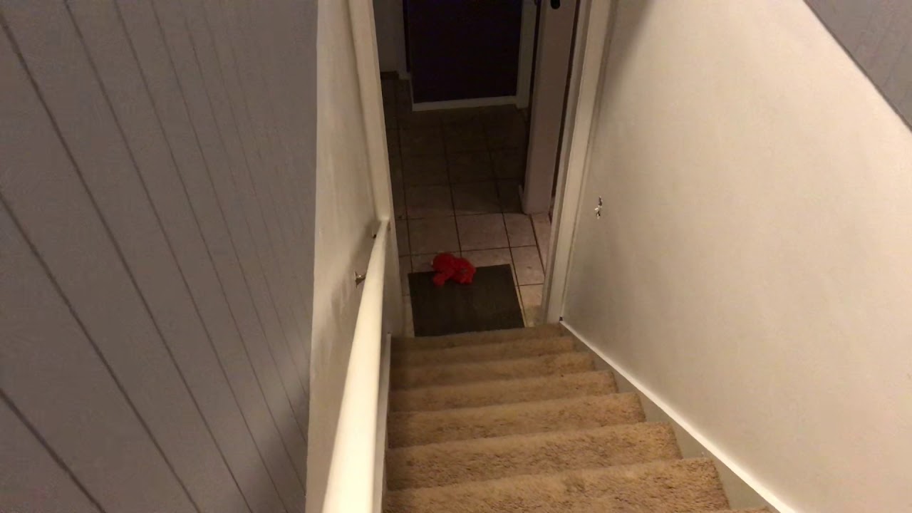 Elmo flies down the stairs try not to laugh - YouTube