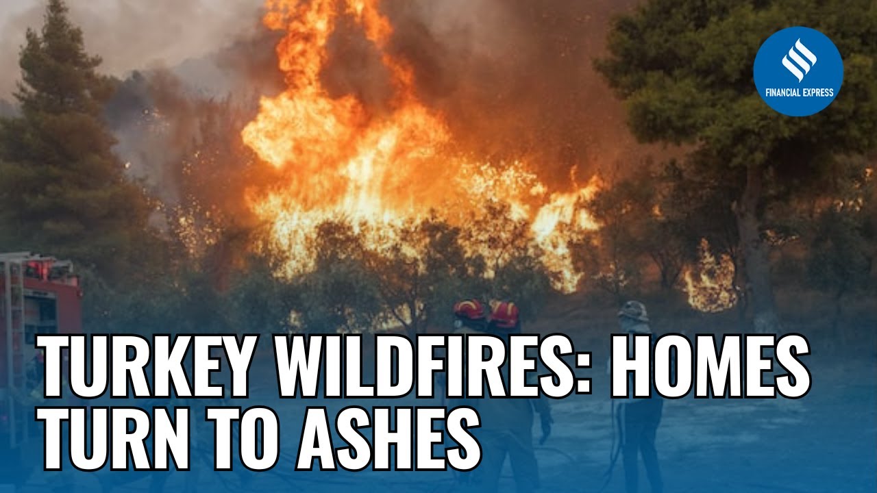 Turkey Wildfires Devastate Izmir, Firefighters Struggle To Control ...