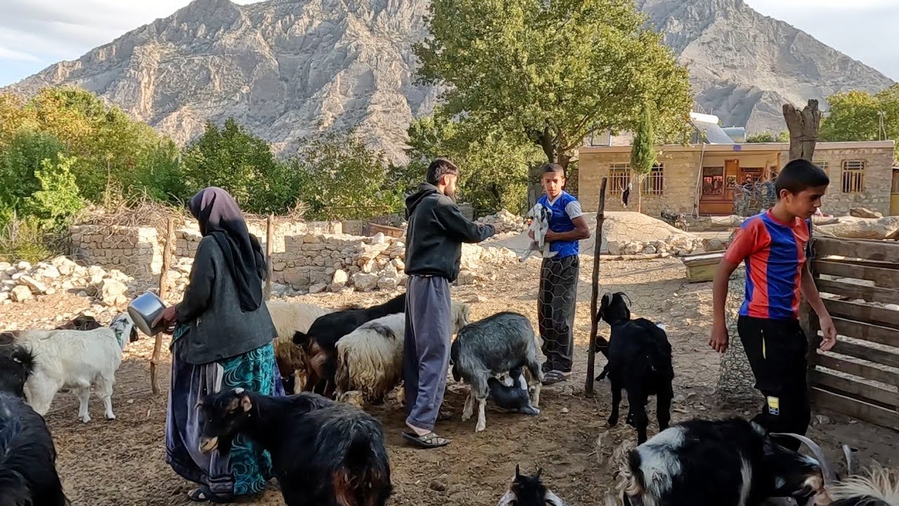 nomads of iran: the joy of nomadic and rural life :nomadic lifestyle of ...
