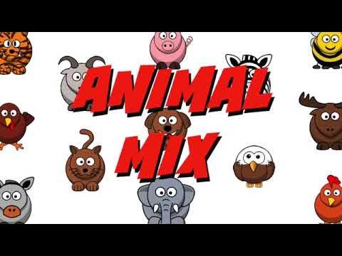 ANIMAL MIX 6 | FUNNY ANIMALS | NURSERY RHYMES | SILLY SONGS | KIDS ...