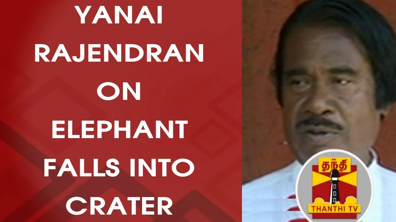 Yanai Rajendran on 'Elephant falls into crater' | Thanthi TV - YouTube