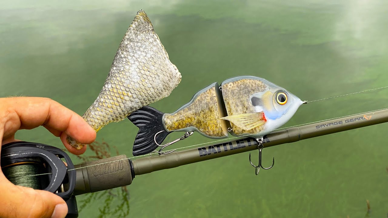 Real Fish Skin on a Lure | Catch to Clean to Build to Catch - YouTube