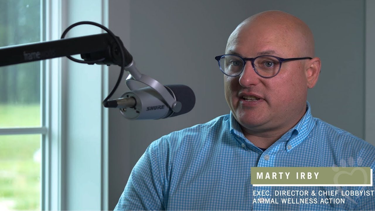 PROMO S1 Ep2: Marty Irby — From World Champion to Influential Animal ...
