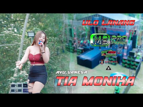 TIA MONIKA ~ AYU VANESA ~ NEW MS PRO MUSIC LIVE ULO LANANG FAMILY