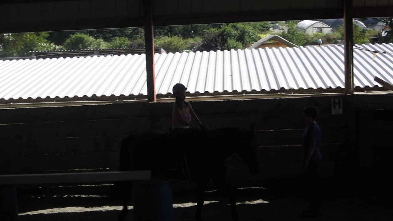 horse camp redmond 2014 - YouTube