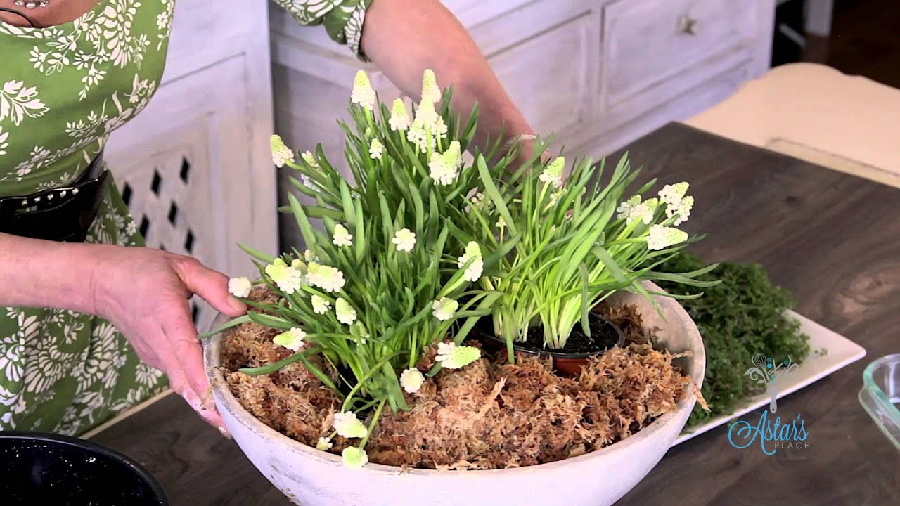 Floristry Tutorial: Spring Flowers Urn Arrangement - YouTube