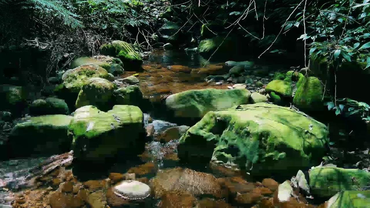 Soothing Stream Water Sounds for Deep Insomnia Relief and Relaxing ...
