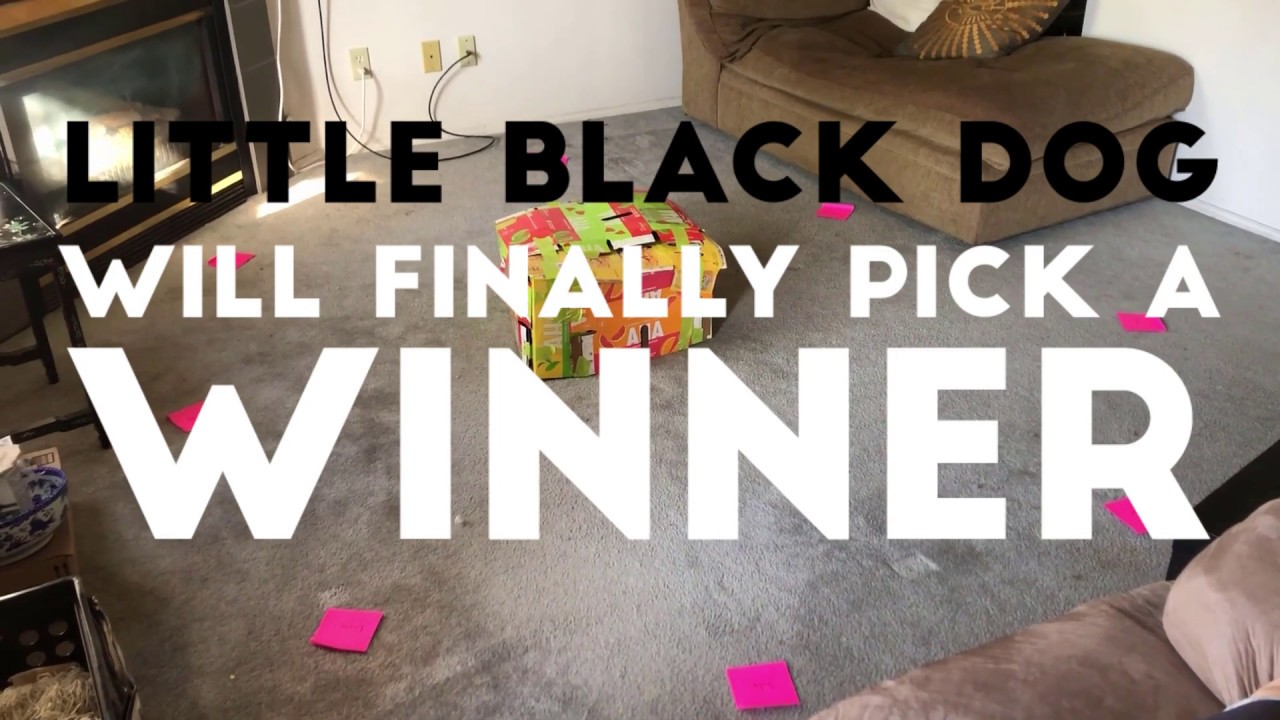 Sparkling Competition: Pickin' Winners! - YouTube