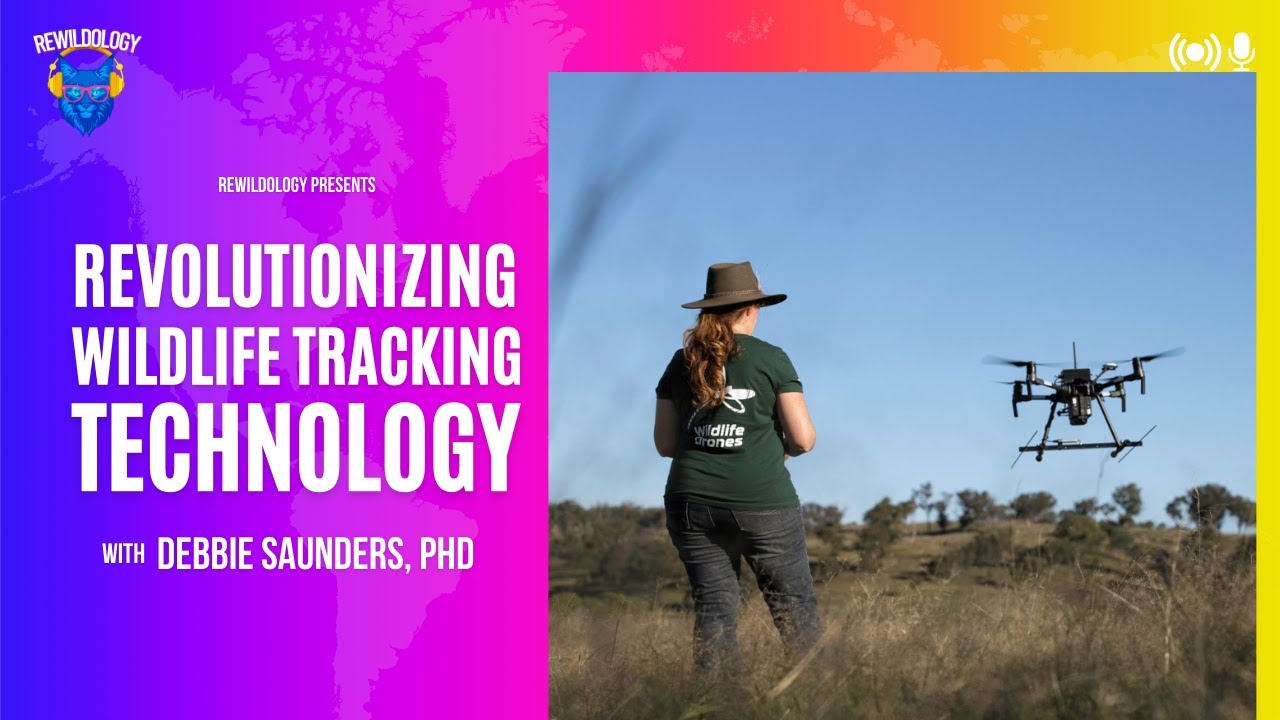Revolutionizing Wildlife Tracking Technology with Debbie Saunders, PhD ...