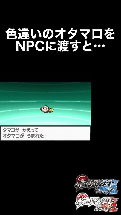 色違いのオタマロをNPCに渡すと…【ポケモンbw2】#shorts #小ネタ #検証 - YouTube