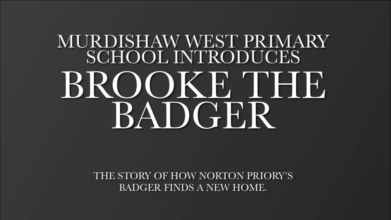 Norton Priory Earth Day - Brooke the Badger - Murdishaw West Primary ...