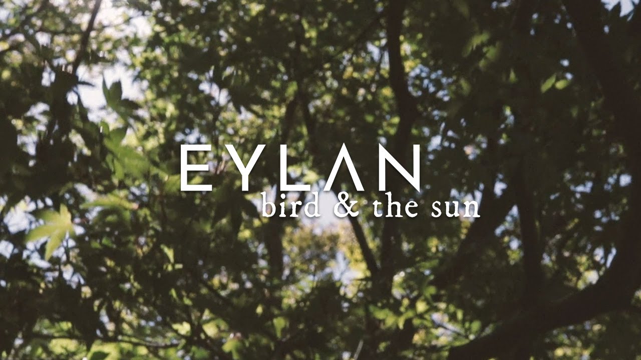Eylan - Bird & the Sun (Official Videolyric) - YouTube