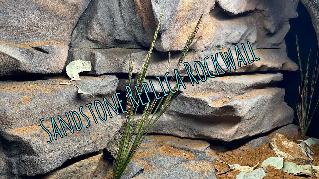 How to Build Naturalistic Enclosure for Childrens Python - YouTube