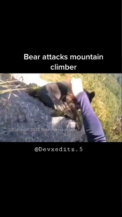 Bear attacks mountain climber 😱💀 - #bear #attack #mountains #climber ...