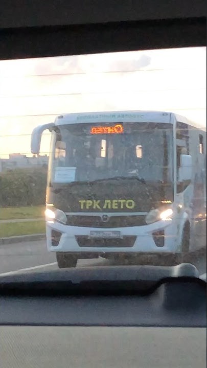 ПАЗ Вектор Некст «ТРК ЛЕТО» на Московском Шоссе #trainz_top #хаюхай ...