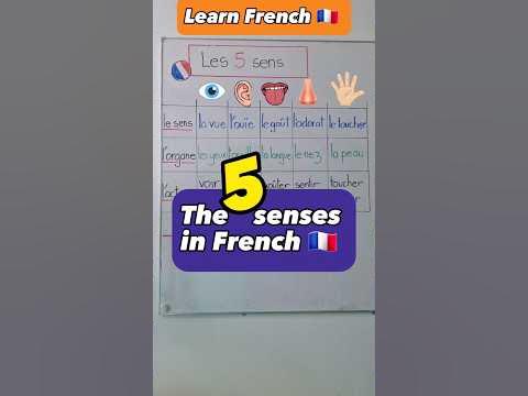 The 5 senses in French 🇨🇵 | Learn new French Vocabulary with Moh ...