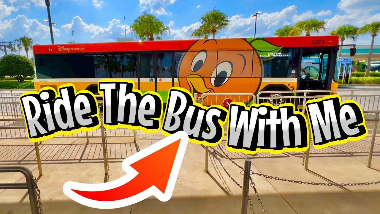 Bus, Buses, Bus Driver, Bus Driving, Disney World Bus Transport ...