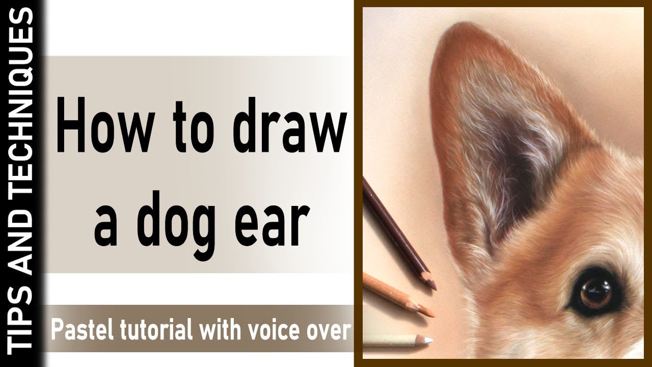 HOW TO DRAW A DOG EAR | PASTEL VOICE OVER TUTORIAL - YouTube