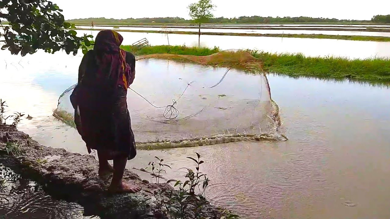 Net Fishing || Amazing Woman Catching Fish With A Cast Net.(Part:487 ...