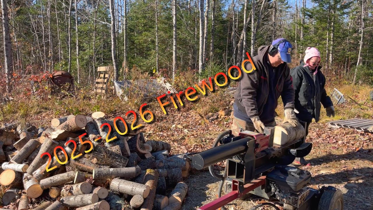 Firewood For Winter of 2025/2026 - YouTube