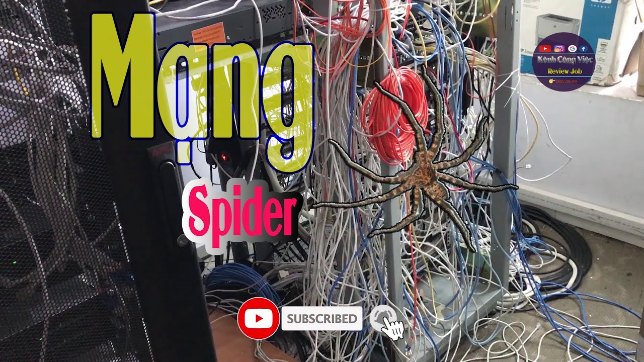 Động Bàn Tơ || Ma Trận Phòng Sever Mạng Lan || Spider Lan Network - YouTube