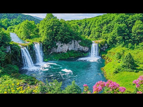 Healing Sound Nature 🍃 Heal Your Soul, Stop Overthinking & Relieve Anxiety | SoulEase Space