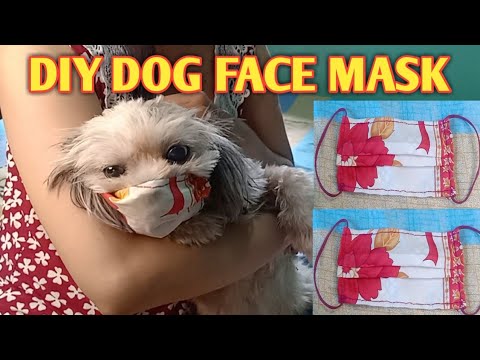 DIY DOG FACE MASK - YouTube