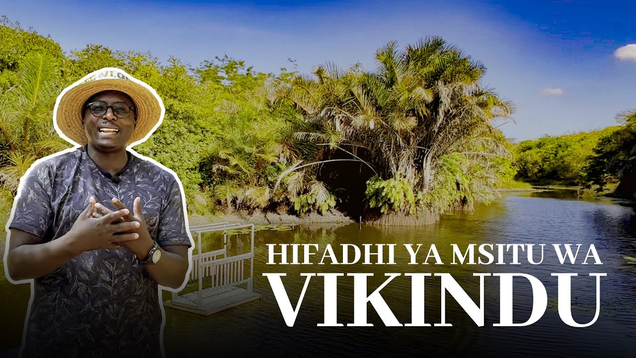 HIFADHI YA MSITU WA VIKINDU || VIKINDU FOREST RESERVE - PWANI TANZANIA ...