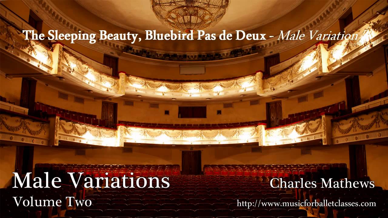 The Sleeping Beauty Bluebird Pas de Deux - Male Variation - Ballet Solo ...