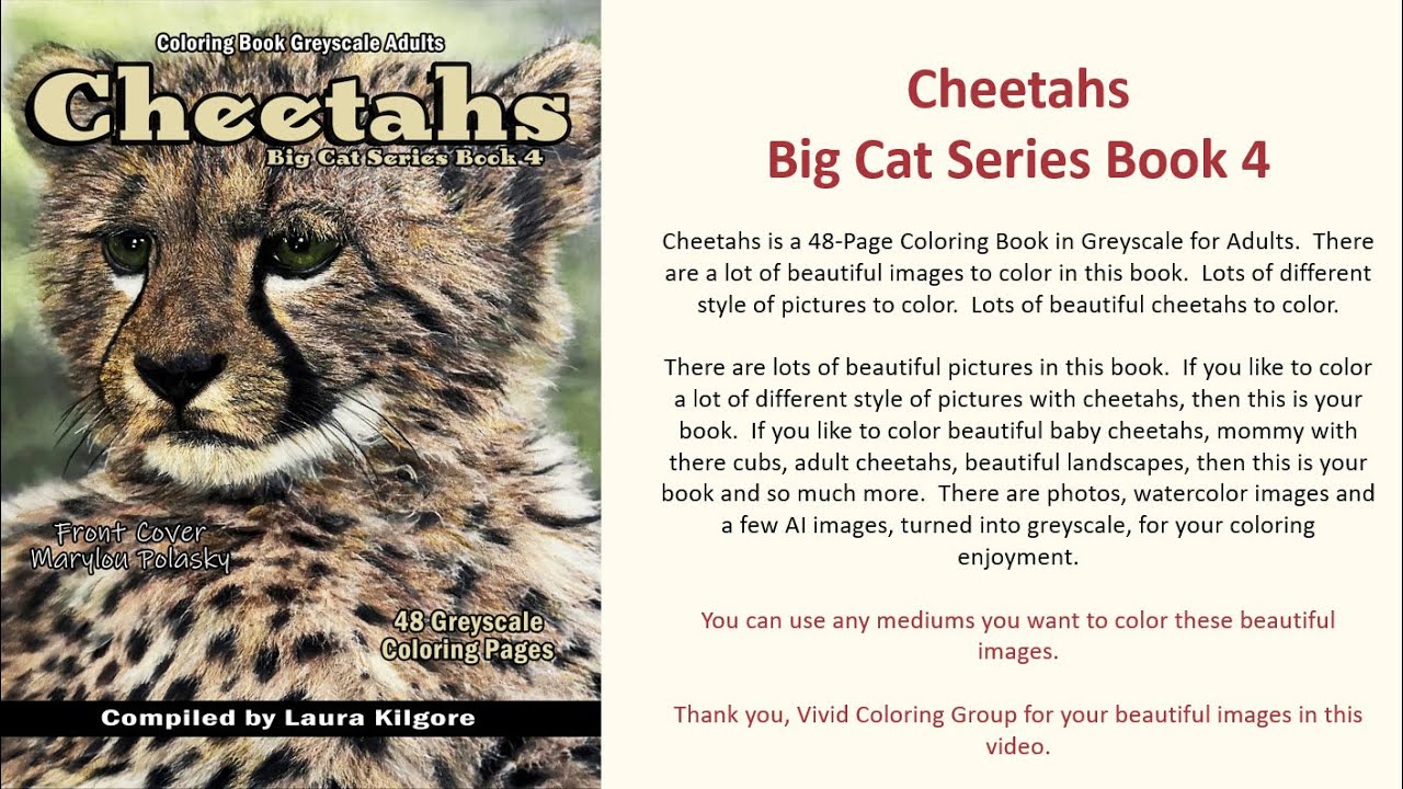 Cheetahs Big Cat Series Book 4 Coloring Book in Greyscale for Adults ...