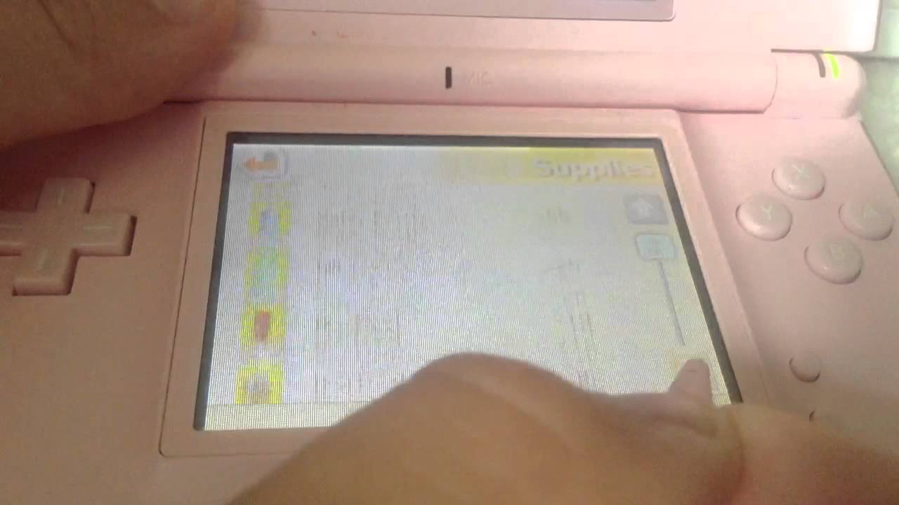 Nintendogs Question! - YouTube