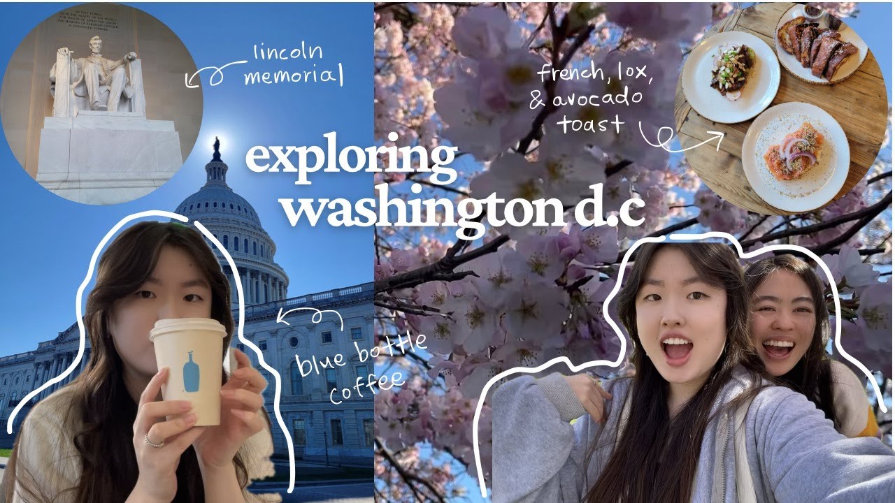 Washington D.C. Vlog | cherry blossoms, paddle boating, library of ...