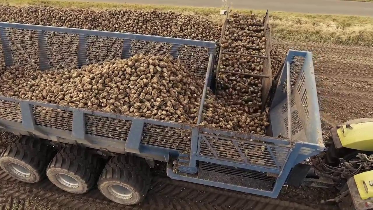 BROCHARD's sugar beet cart 50 m3 / 1765 cu. ft - Poland - YouTube