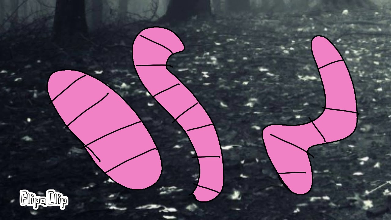 Worms meme - YouTube