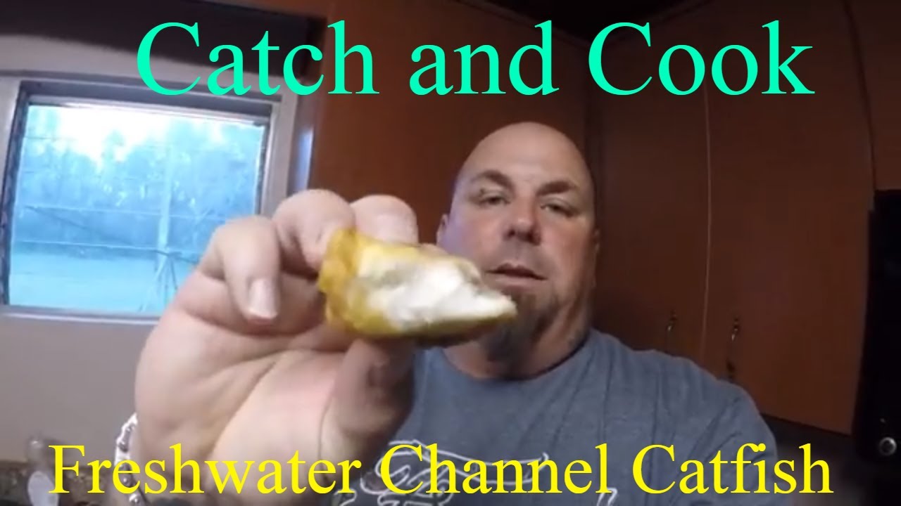 CATCH AND COOK freshwater channel catfish...DELICIOUS - YouTube