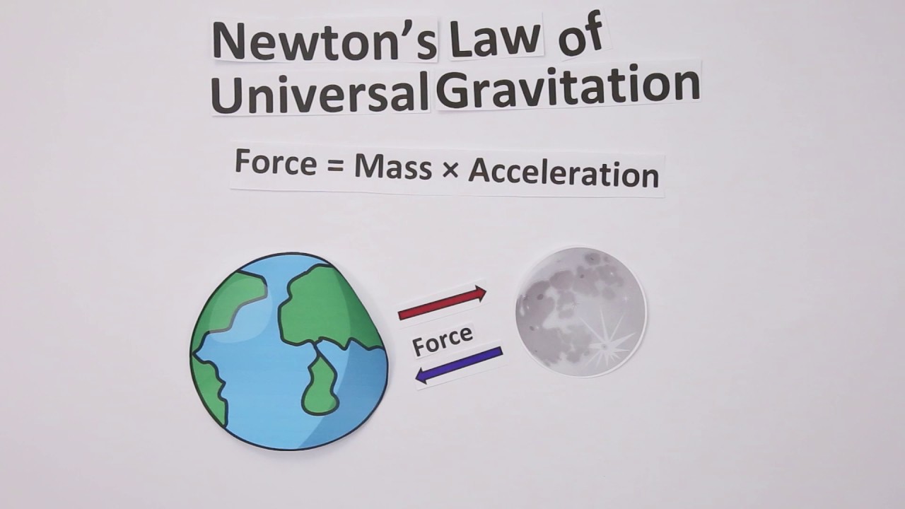 Newton's Law of Universal Gravitation - Year 12 Physics Episode 2 - YouTube