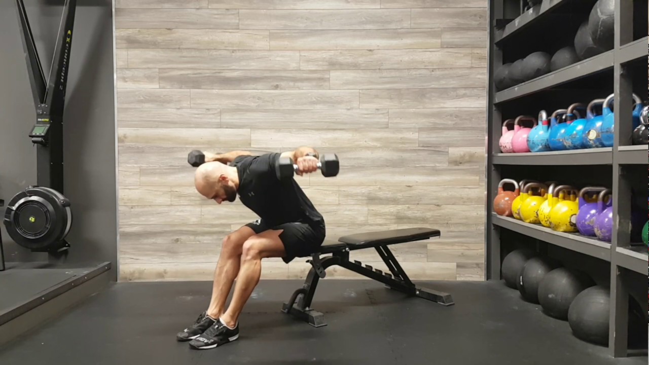Seated bent over reverse dumbbell flys - YouTube