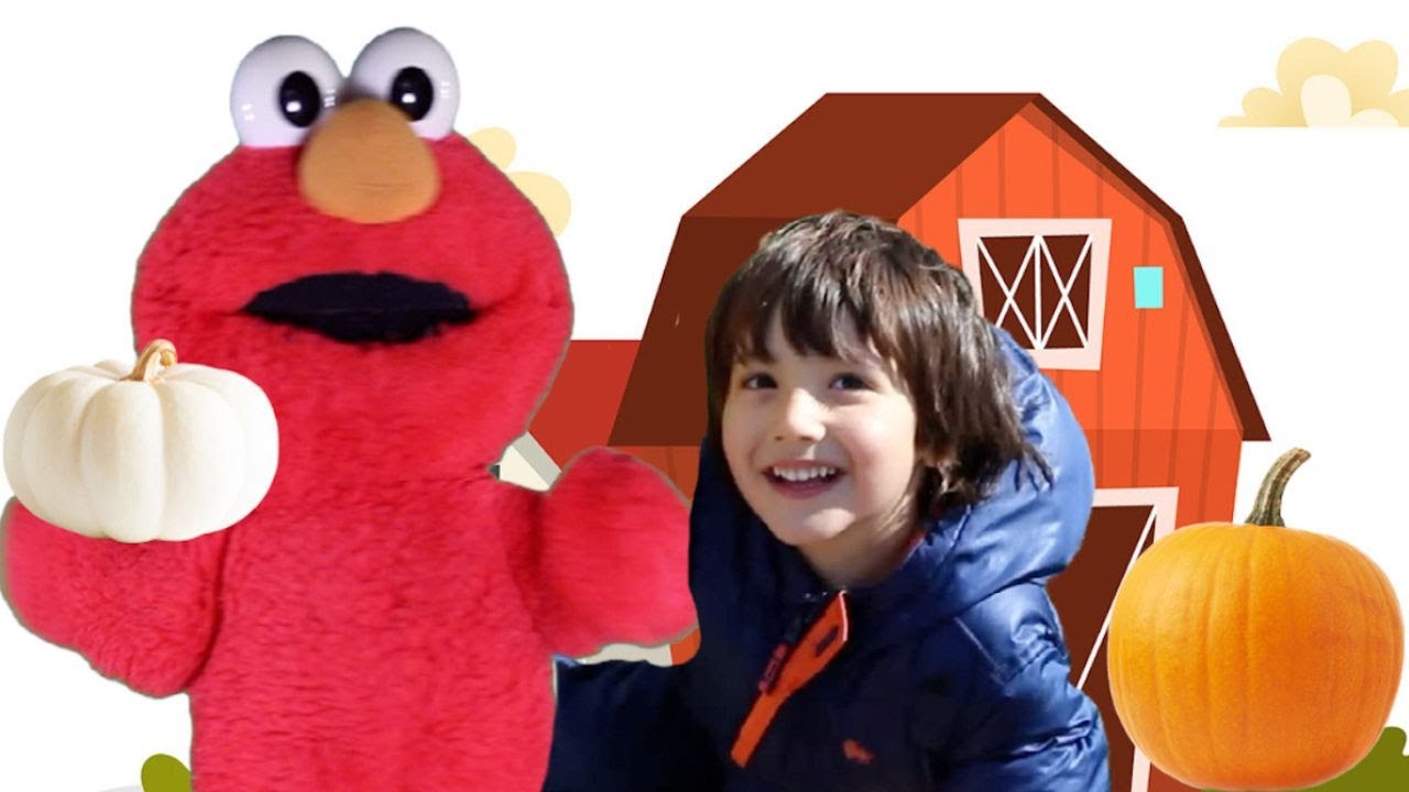 Elmo Pumpkin Fun - YouTube