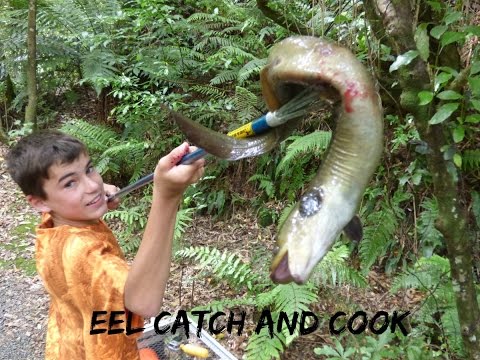 Eel catch and cook - YouTube