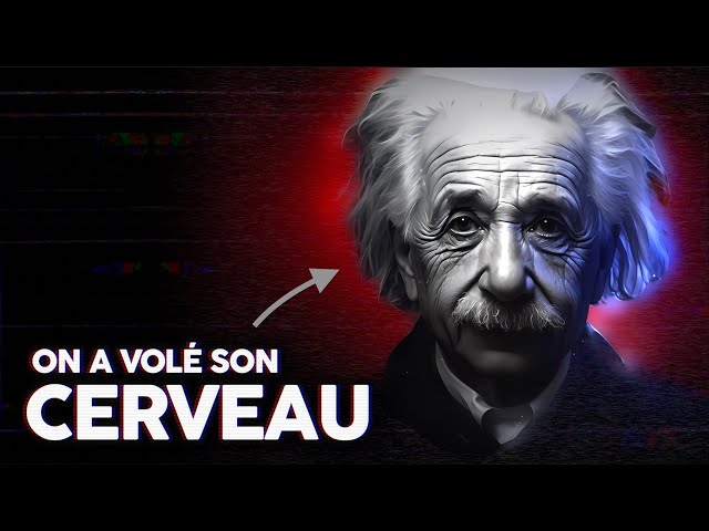 Albert Einstein, Le Vrai Cerveau Le Vrai Du Faux : N'utilise T On