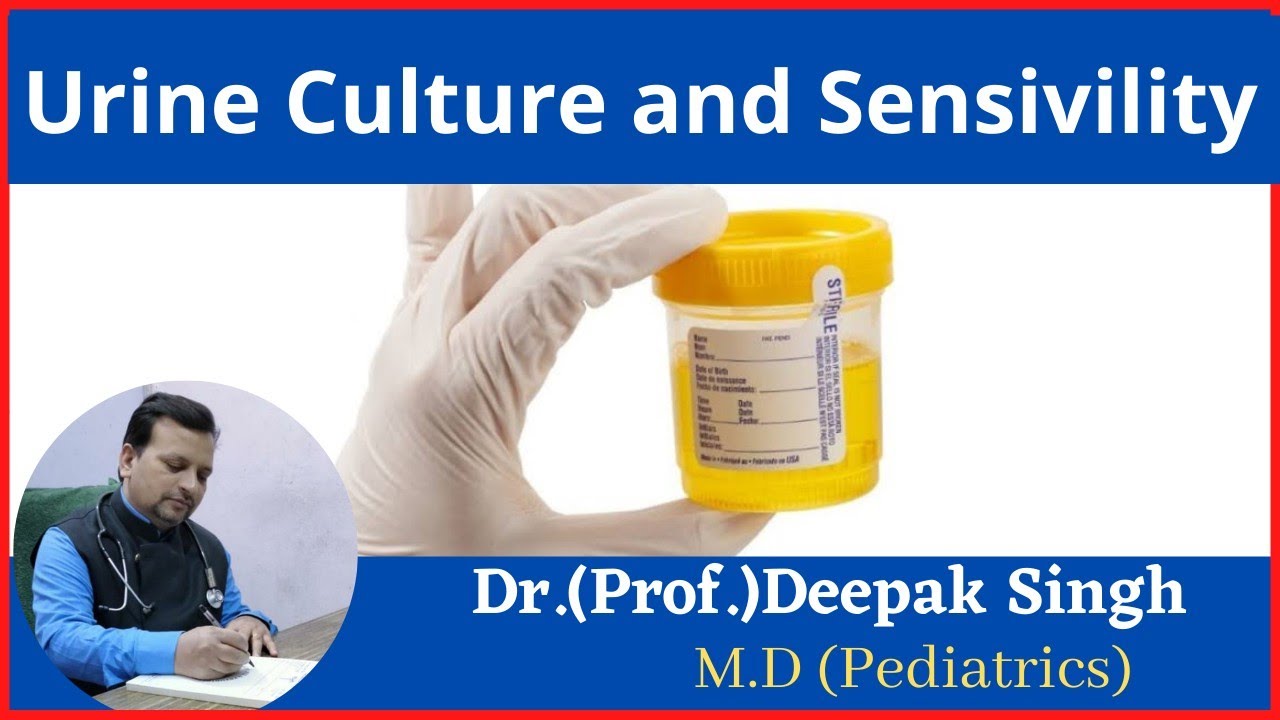 Urine C/S # Urine Culture and Sensivility # Deepak PD. Singh - YouTube