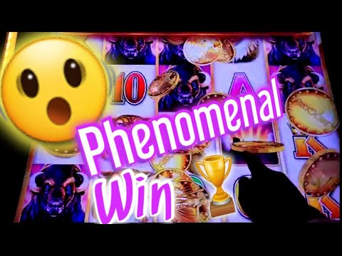 💥Phenomenal 😱 Win‼️ In Buffalo Grand Bonus 🎰|WINSTAR CASINO - YouTube