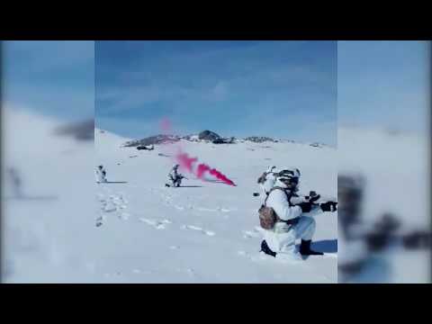 Beynəlxalq “Qış təlimi - 2019” davam edir - 18.02.2019