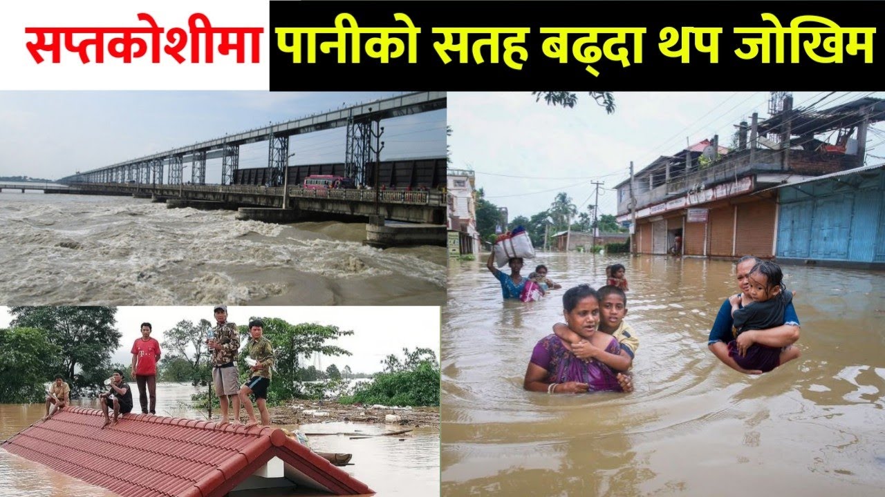 Saptakoshi news || Saptakoshi river nepal - YouTube