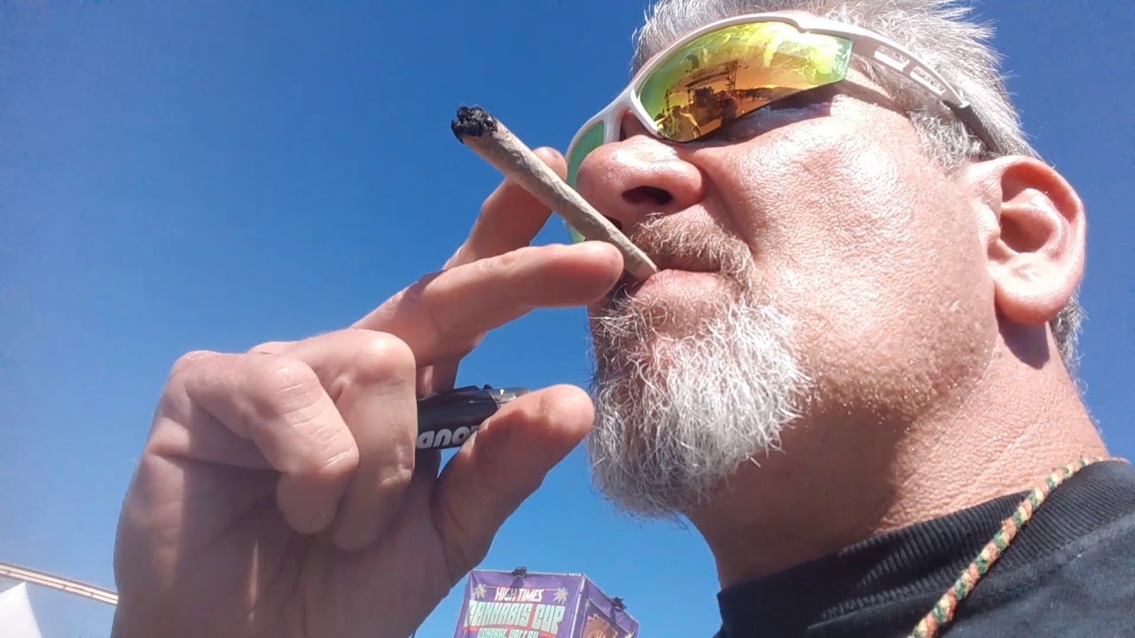 OG Steve's purple tangie and banna punch rock and pre rolled review ...