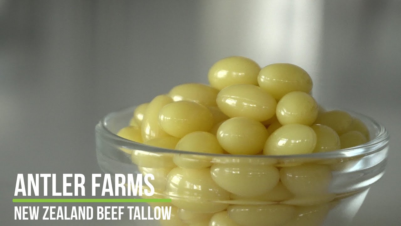 Antler Farms New Zealand Beef Tallow - Pure, Clean & Healthy Fats - YouTube