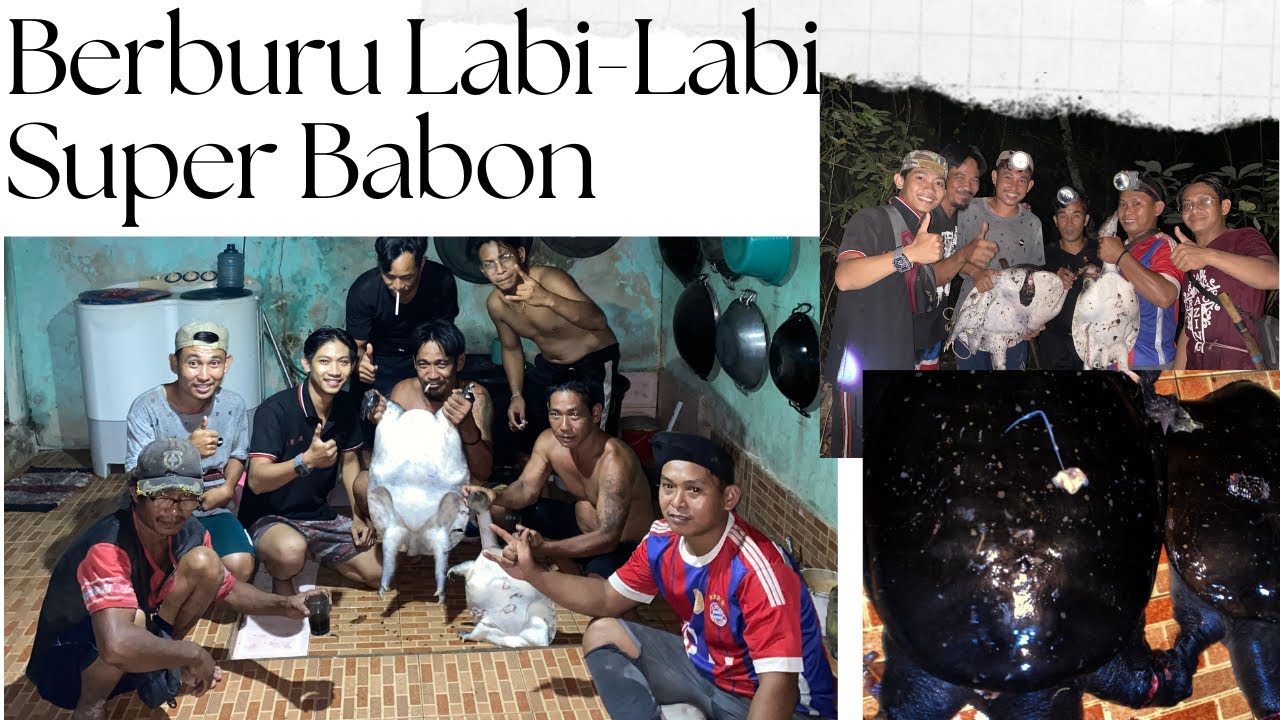 Berburu Labi-labi Dapat Dua Ekor Super Besar Pakai Tombak di Alur ...