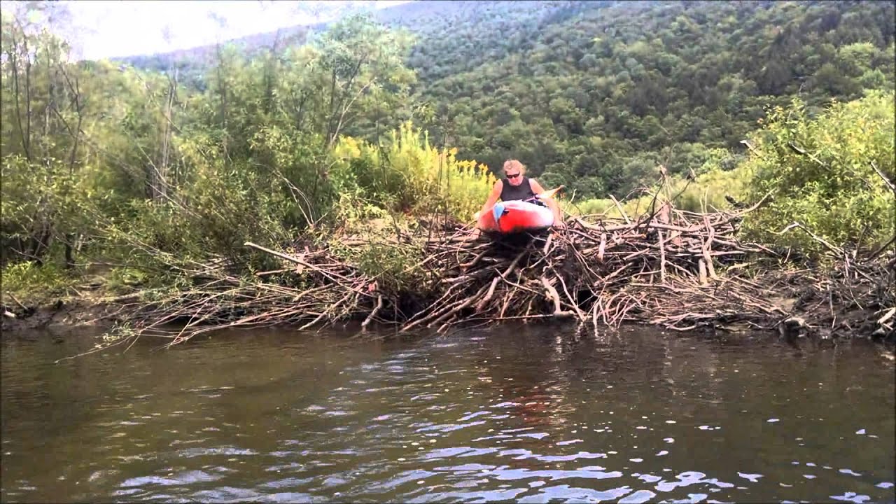 Kayaking over a beaver dam in Killington, vermont - YouTube