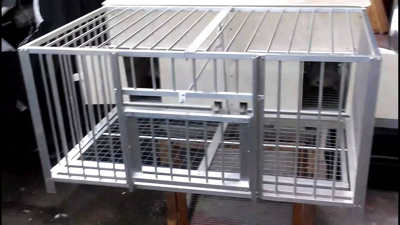 Mi nueva trampa hecha por roberto. - YouTube