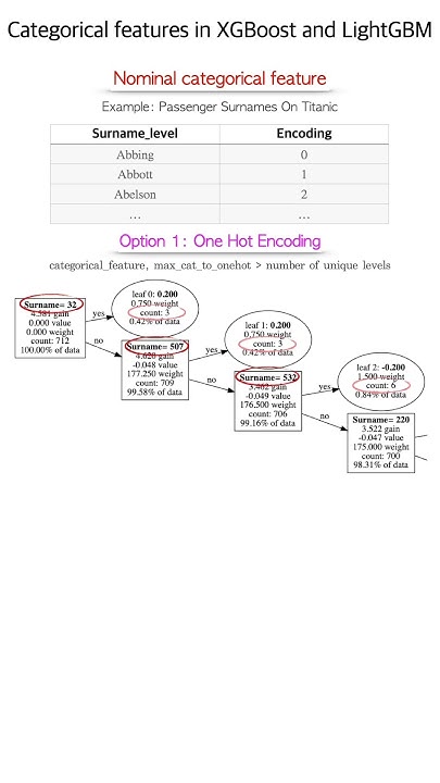 3 basic strategies with categorical features in XGBoost/LightGBM - YouTube